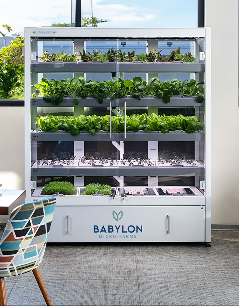 Galleri Micro-Farm - Contact the Team at Babylon Farms
